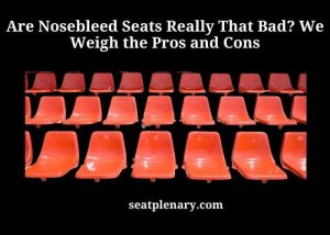 Are Nosebleed Seats Bad? Details Guideline - Seat Plenary