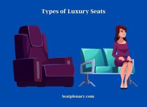 Luxury Seats: Comfort, Style, and a Unique Experience - Seat Plenary