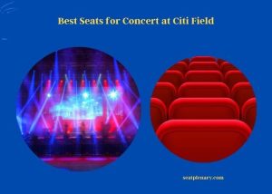 A Clear Guide to the Best Seats for Concerts at Citi Field - Seat Plenary