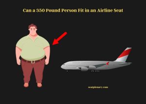 Navigating Air Travel Comfort: Can a 350-Pound Individual Truly Fit ...