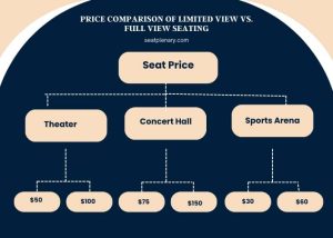 What Does Limited View Seating Mean? - Seat Plenary