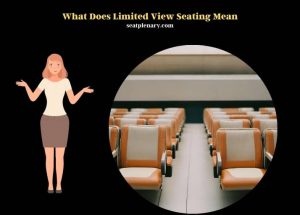 What Does Limited View Seating Mean? - Seat Plenary