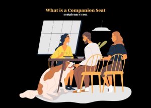 What is a Companion Seat? - Seat Plenary